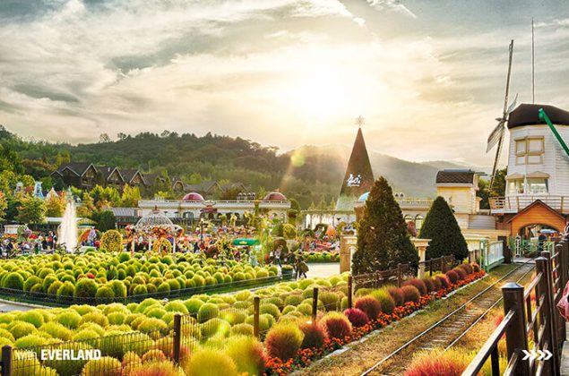 31 Best & Fun Things To Do In Seoul (South Korea)