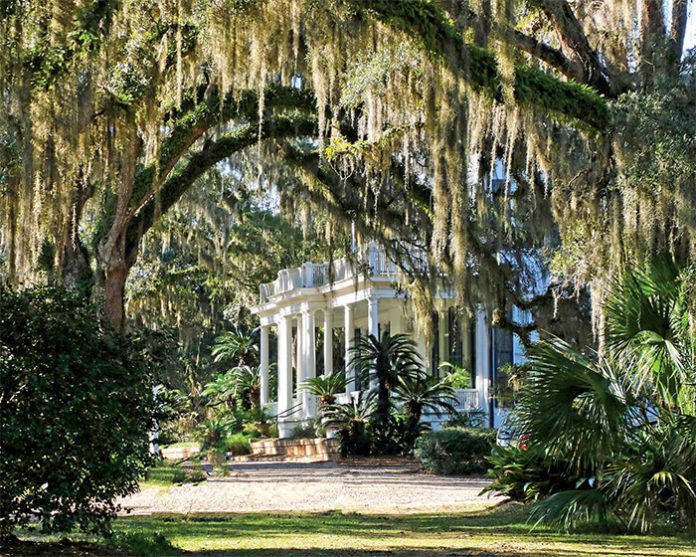 27 Fun Things To Do In Tallahassee Fl Attractions And Activities