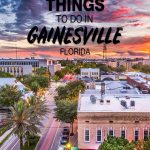 21 Fun Things To Do In Gainesville, Florida | Busy Tourist