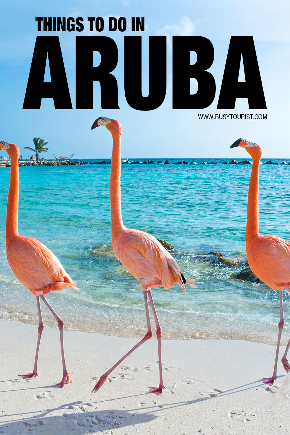 29 Best & Fun Things To Do In Aruba - Attractions & Activities