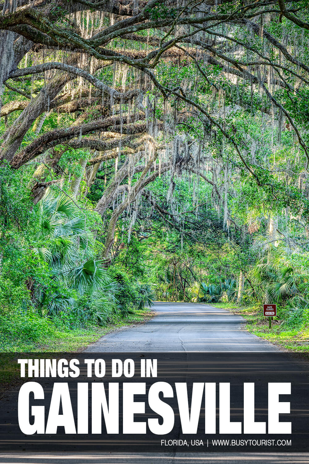 21 Fun Things To Do In Gainesville, Florida | Busy Tourist