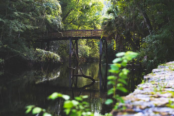 23 Best & Fun Things To Do In Tampa (FL) - Attractions & Activities