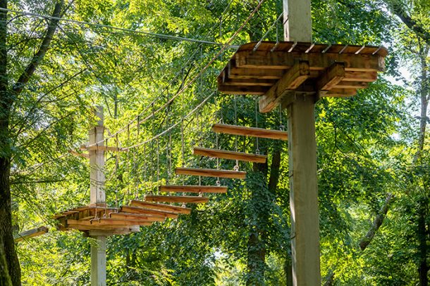 27 Best & Fun Things To Do In Raleigh (NC) - Attractions & Activities