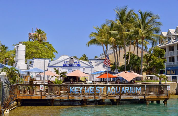 29 Best & Fun Things To Do In Key West (Florida) - Attractions & Activities