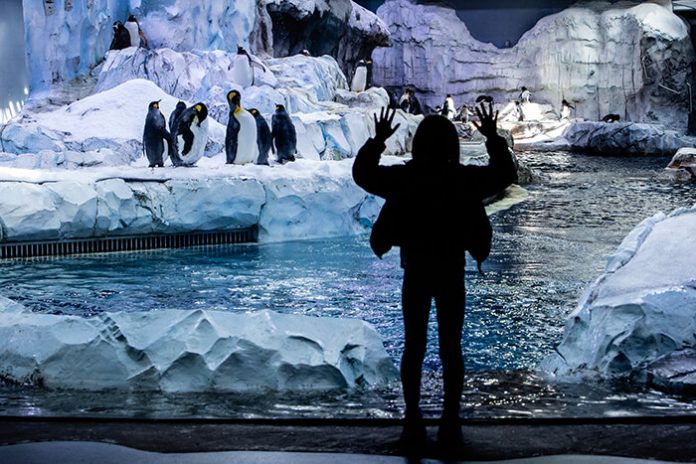 52 Best & Fun Things To Do In Michigan | Attractions & Activities