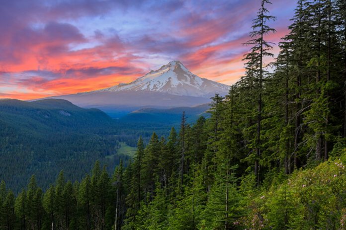 50 Things To Do & Places To Visit In Oregon - Attractions & Activities