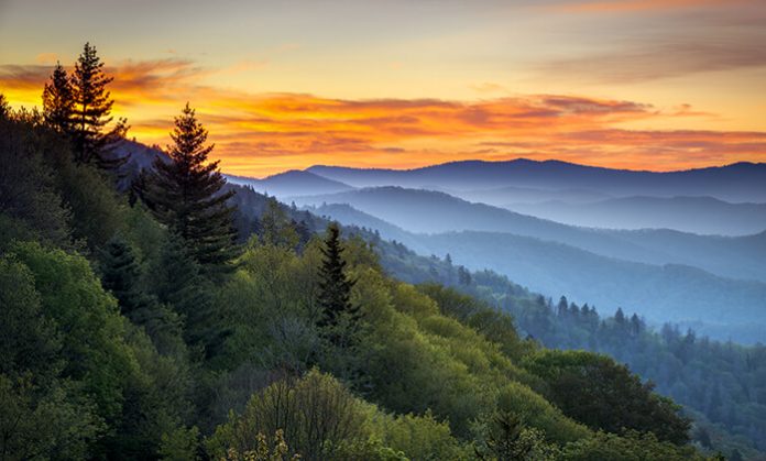 30 Best & Fun Things To Do In Tennessee - Attractions & Activities
