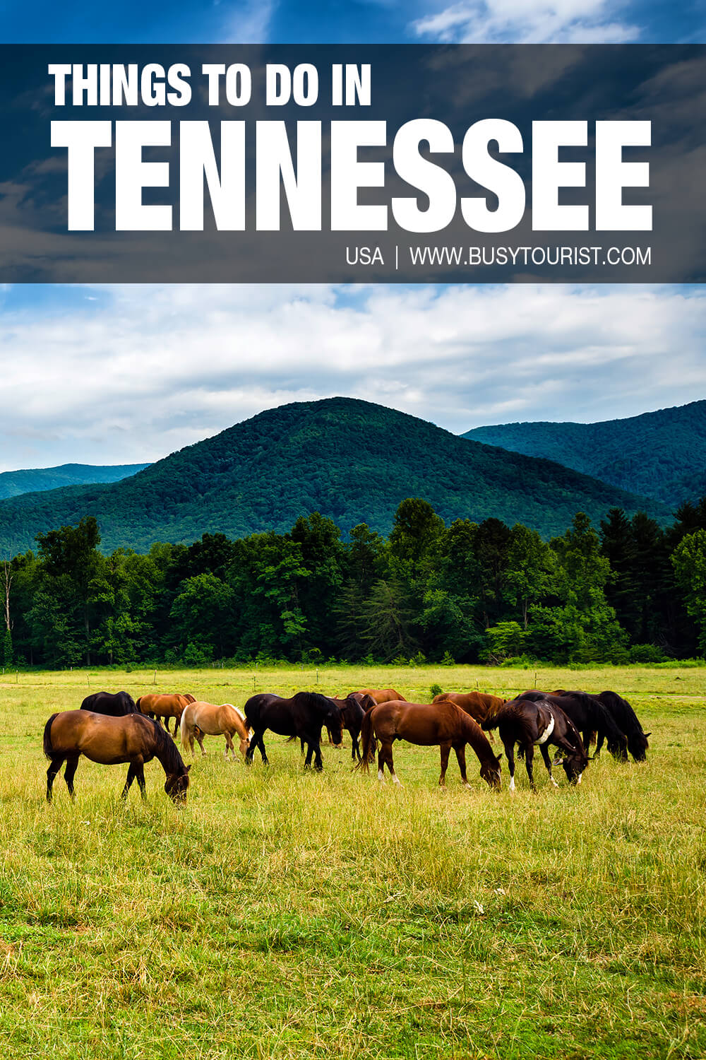 30 Best & Fun Things To Do In Tennessee - Attractions & Activities