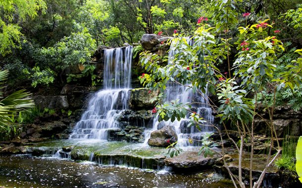 53 Fun Things To Do In Austin (Texas) - Attractions & Activities