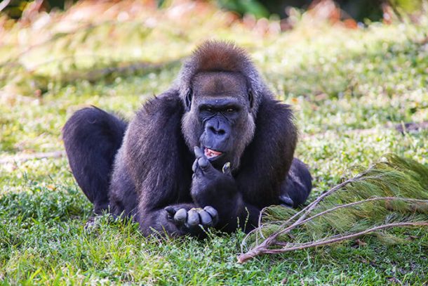 45 Best & Fun Things To Do In Miami (Florida) - Attractions & Activities