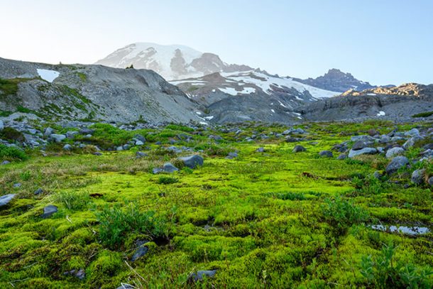 59 Best & Fun Things To Do Seattle (Washington) - Attractions & Activities