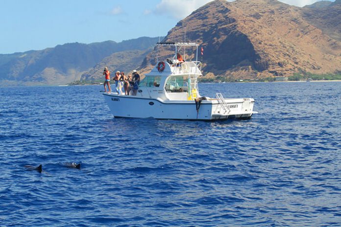 60 Fun Things To Do In Hawaii - Attractions & Activities