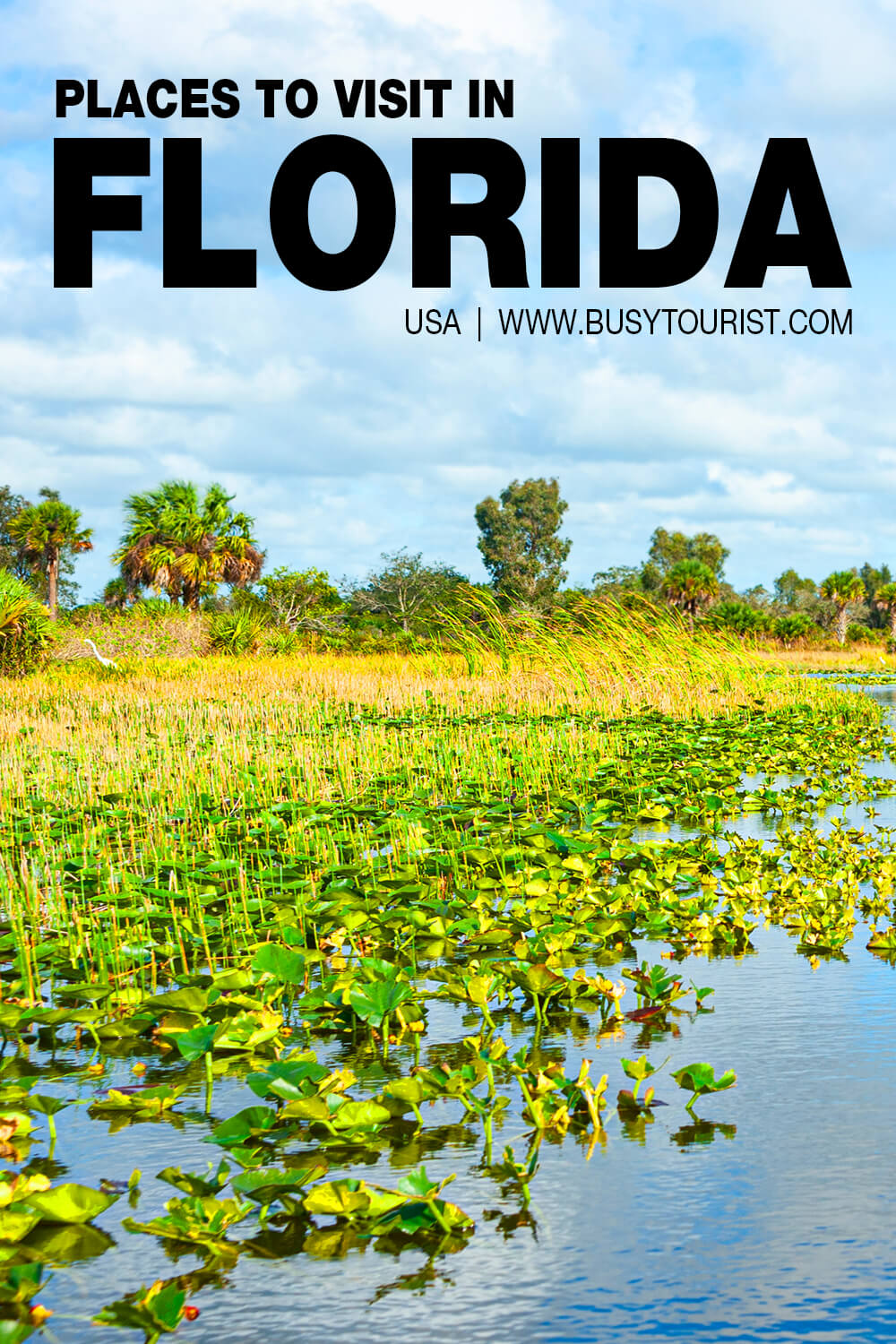 60 Things To Do & Places To Visit In Florida - Attractions & Activities