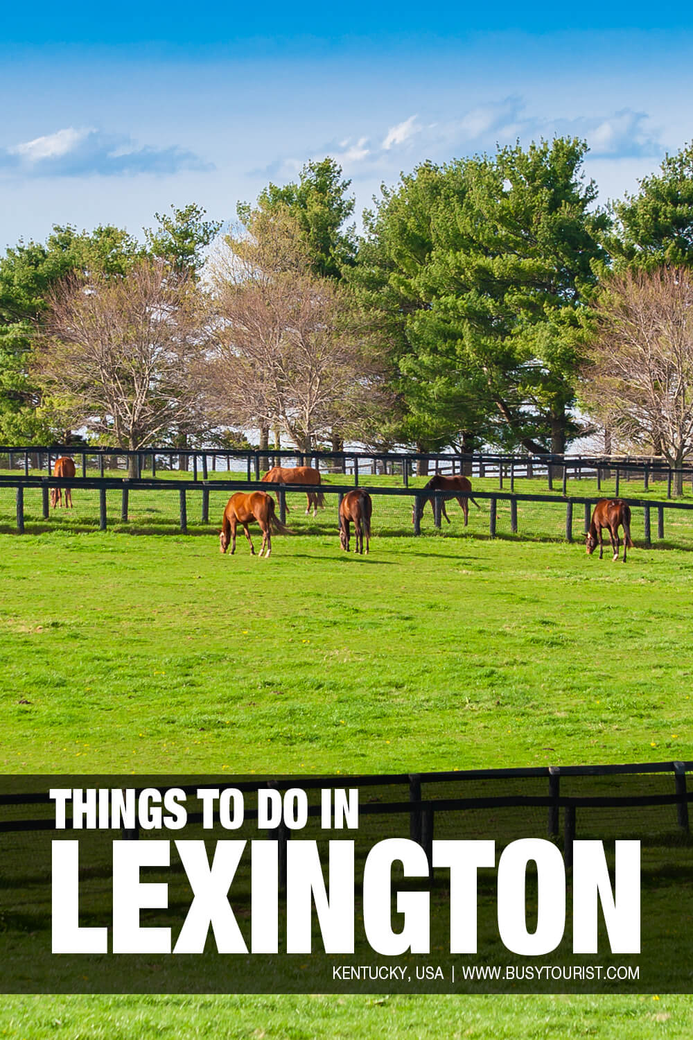 28 Best And Fun Things To Do In Lexington Ky Attractions And Activities