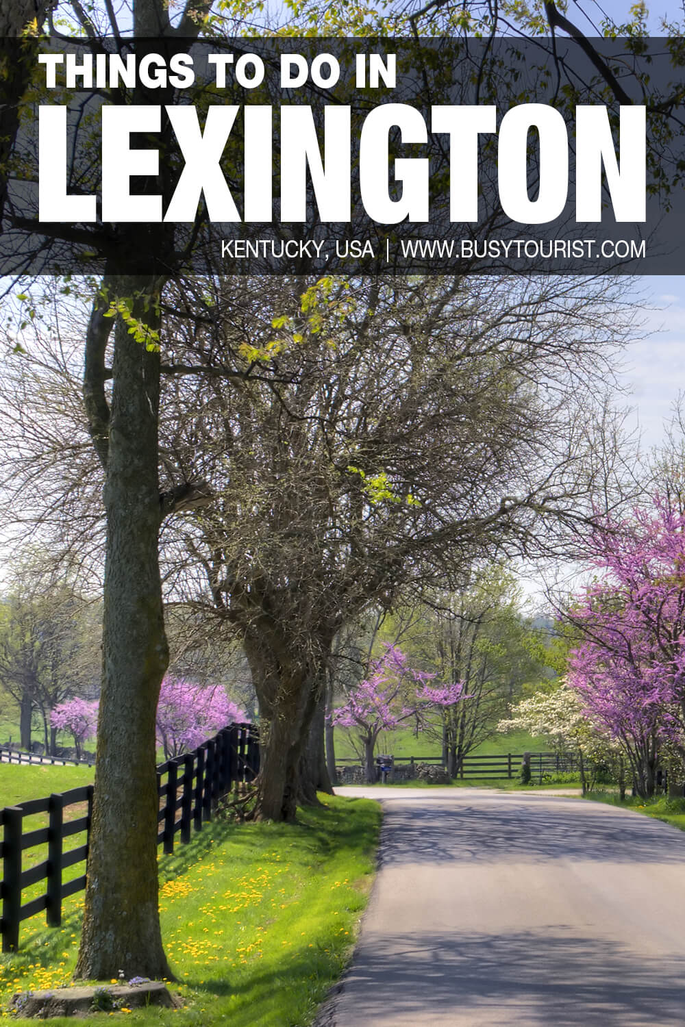 28 Best And Fun Things To Do In Lexington Ky Attractions And Activities