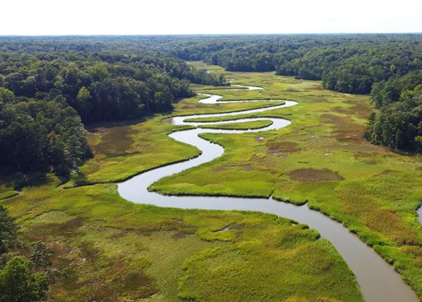 32 Best & Fun Things To Do In Williamsburg (VA) - Attractions & Activities