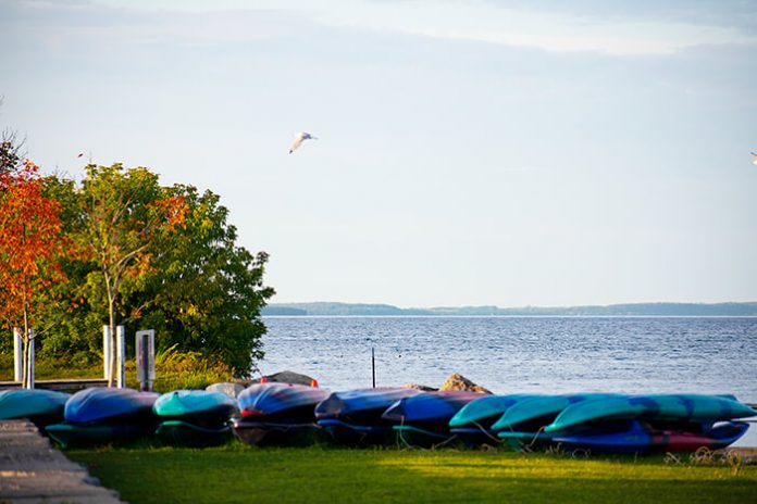 29 Fun Things To Do In Traverse City (MI) - Attractions & Activities