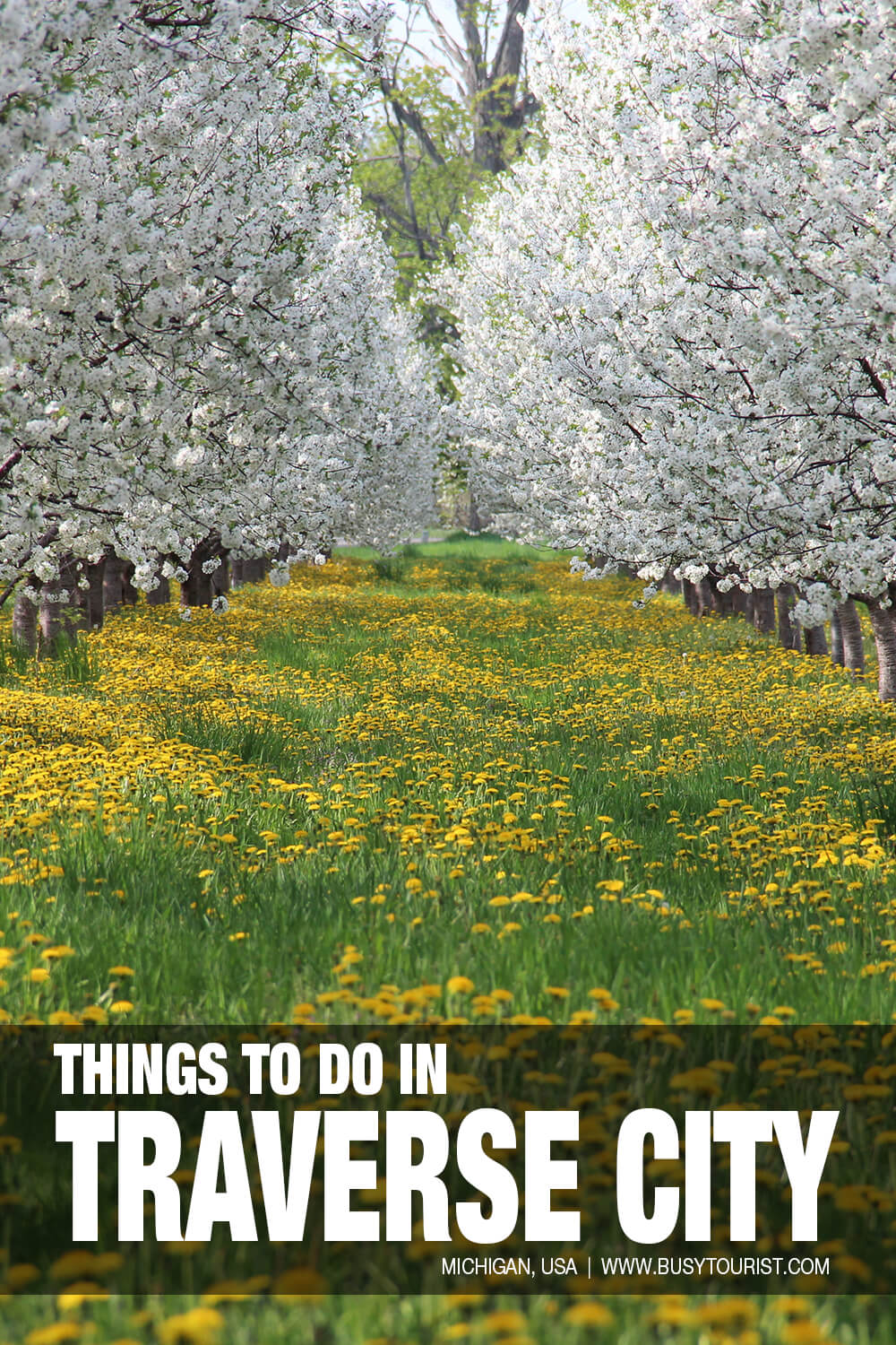 29 Best & Fun Things To Do In Traverse City (MI) - Attractions & Activities