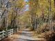 19 Fun Things To Do In Scranton (PA) - Attractions & Activities