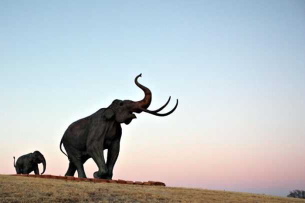 22 Fun Things To Do In Lubbock (TX) - Attractions & Activities