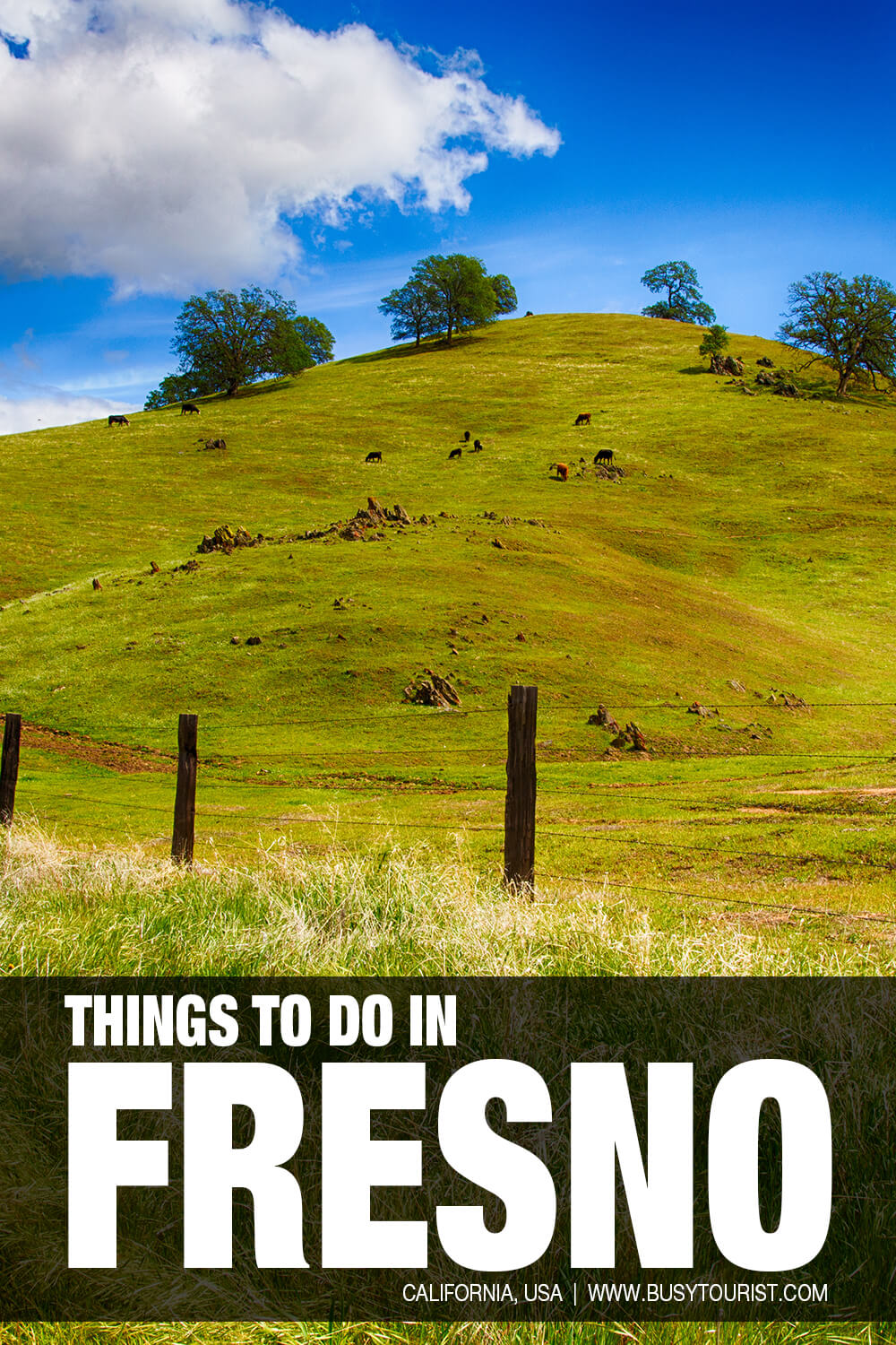 30 Best & Fun Things To Do In Fresno (CA) - Attractions & Activities