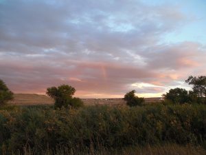 25 Best & Fun Things To Do In Cheyenne (Wyoming)