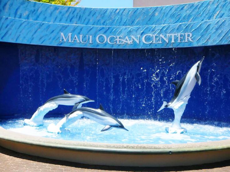 27 Fun Things To Do In Maui (Hawaii) - Attractions & Activities