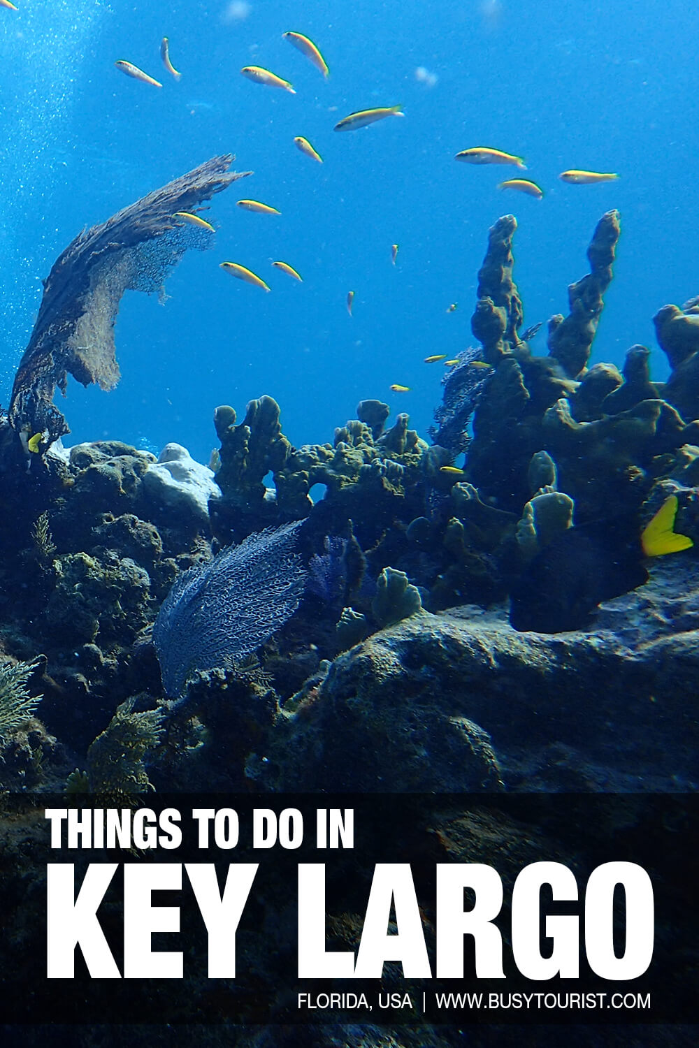 23 Best & Fun Things To Do In Key Largo (FL) - Attractions & Activities