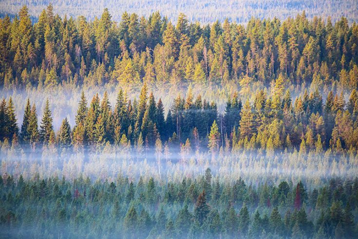 25 Best & Fun Things To Do In Bend (OR) - Attractions & Activities