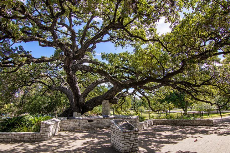 26 Things To Do In New Braunfels (TX) - Attractions & Activities