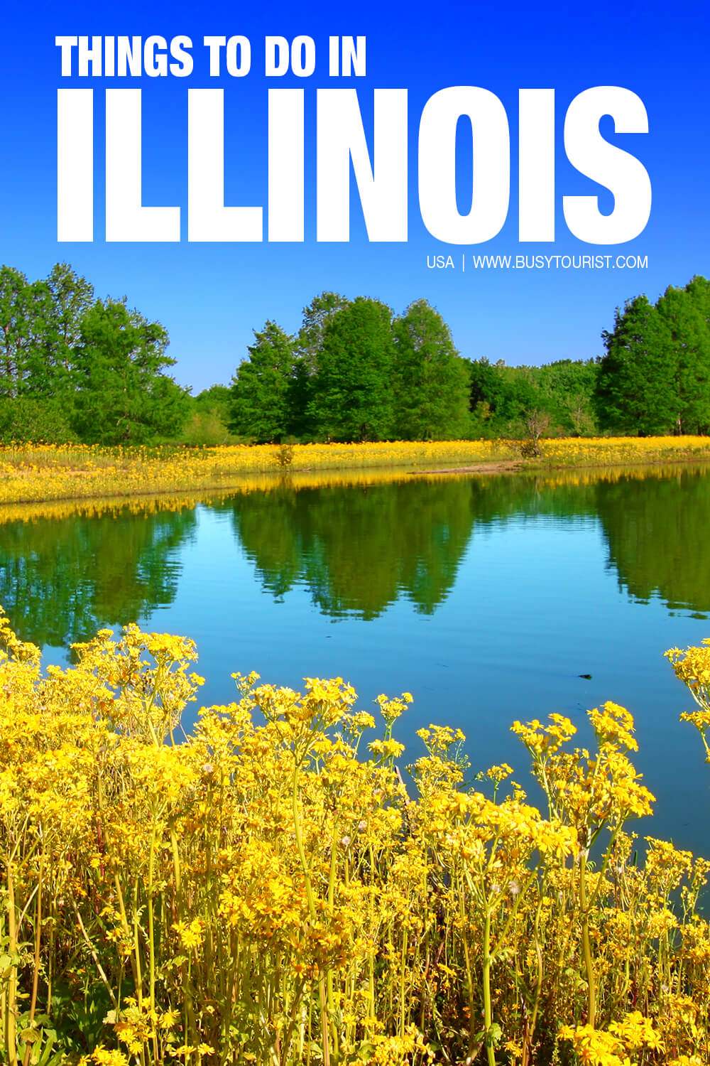 49 Fun Things To Do & Places To Visit In Illinois - Attractions ...