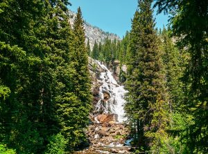 26 Best & Fun Things To Do In Jackson Hole (WY) - Attractions & Activities