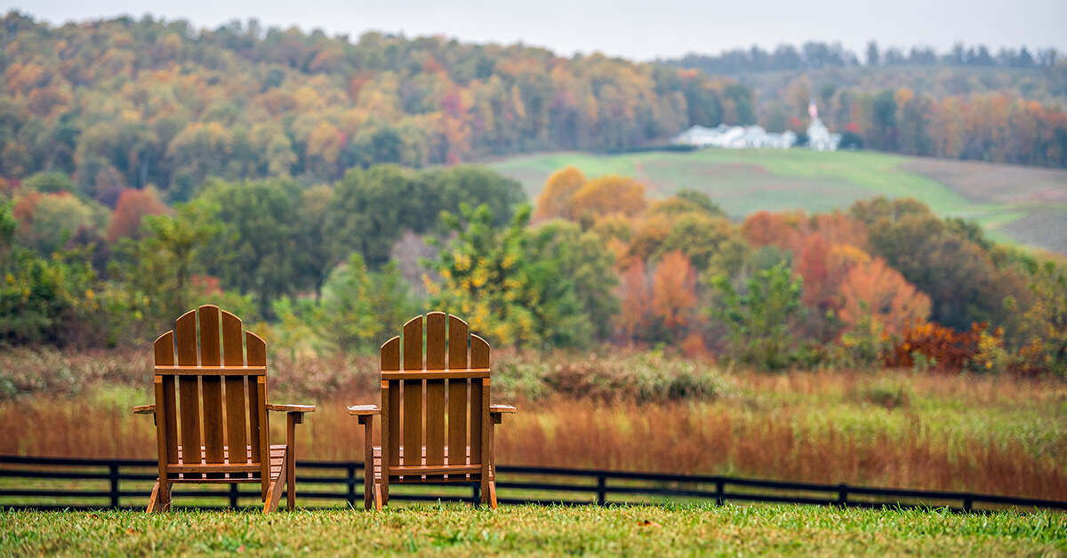 25 Fun Things To Do In Charlottesville (VA) - Attractions & Activities