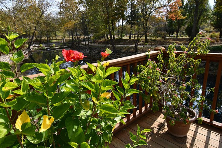 27 Fun Things To Do In Eureka Springs (AR) - Attractions & Activities