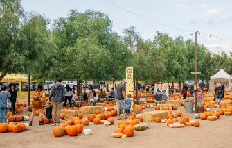 31 Best & Fun Things To Do In Temecula (CA) - Attractions & Activities