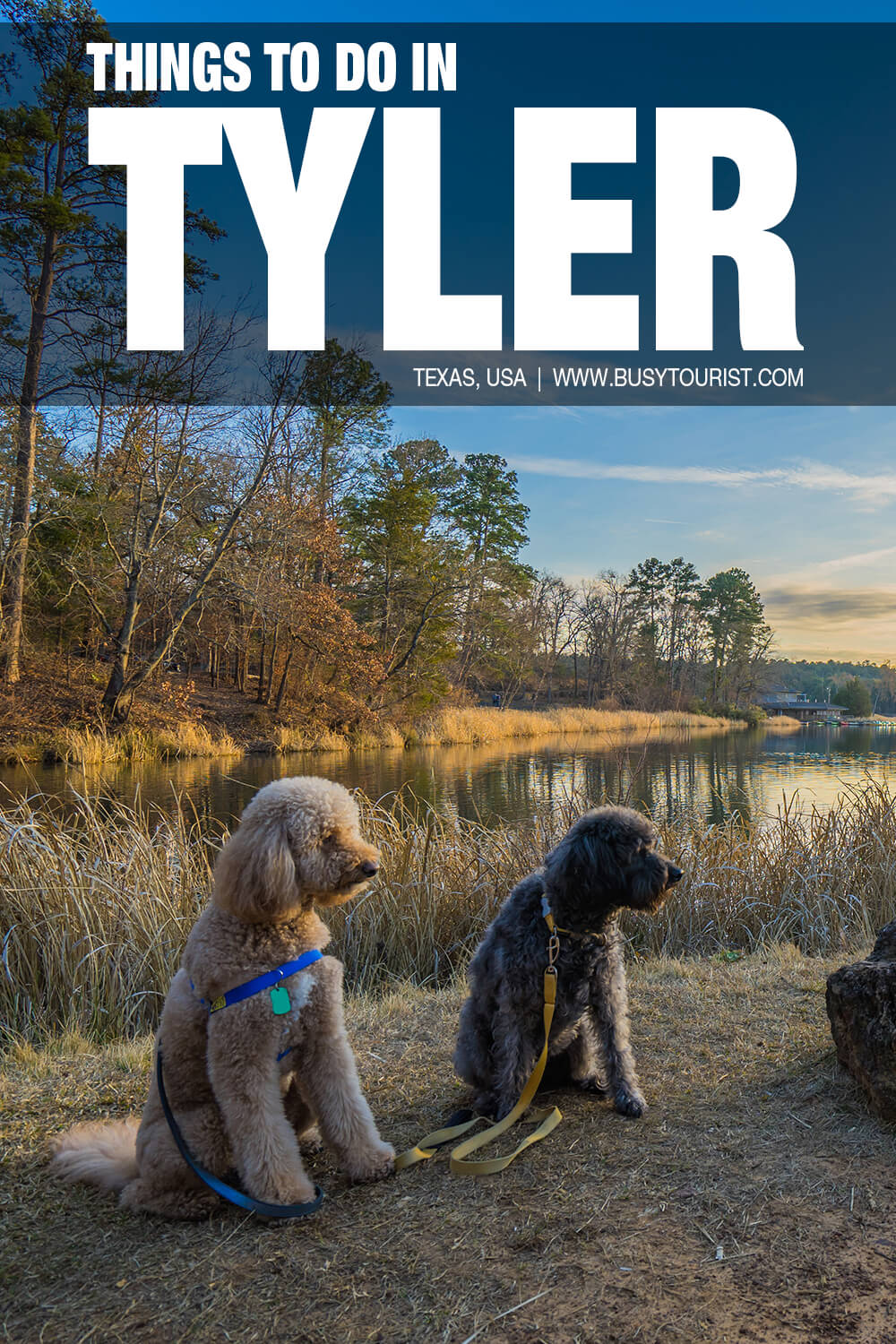 31 Best & Fun Things To Do In Tyler (TX) - Attractions & Activities