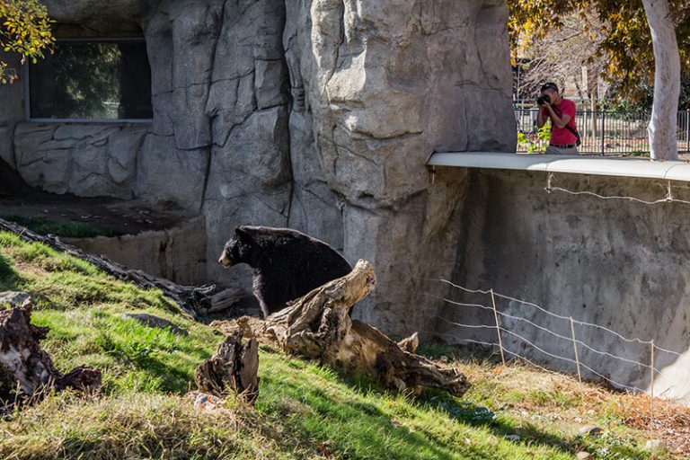 25 Fun Things To Do In Bakersfield (CA) - Attractions & Activities