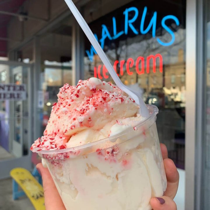 27 Fun Things To Do In Fort Collins (CO) - Attractions & Activities