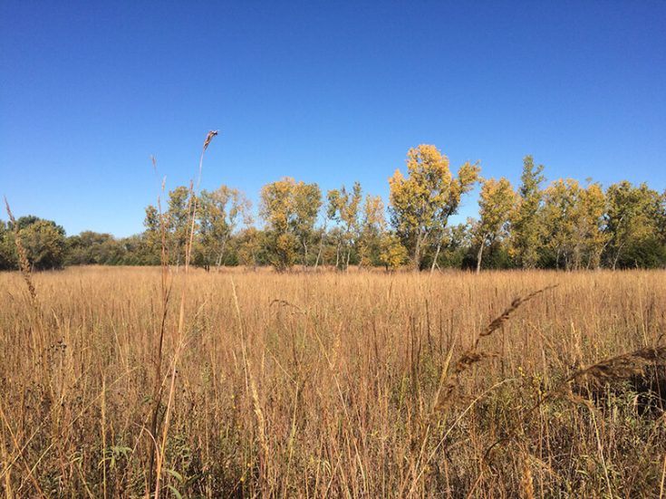 26 Fun Things To Do In Wichita (KS) - Attractions & Activities