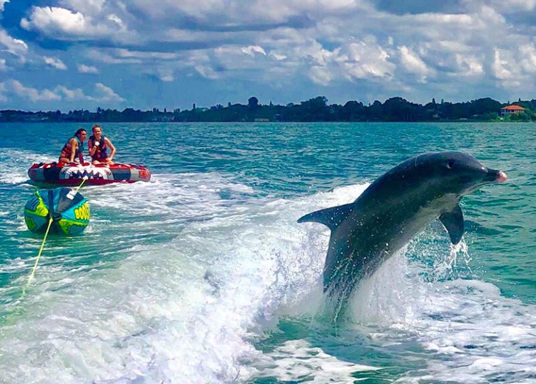 34 Fun Things To Do In Siesta Key (FL) - Attractions & Activities