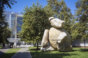 21 Fun Things To Do In La Jolla (CA) - Attractions & Activities