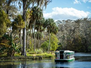 21 Best & Fun Things To Do In Ocala (FL) - Attractions & Activities