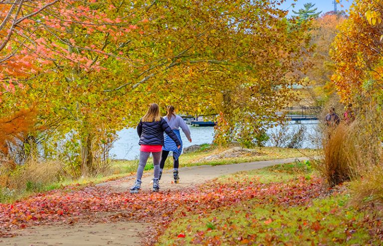 26 Fun Things To Do In Columbia (MO) - Attractions & Activities