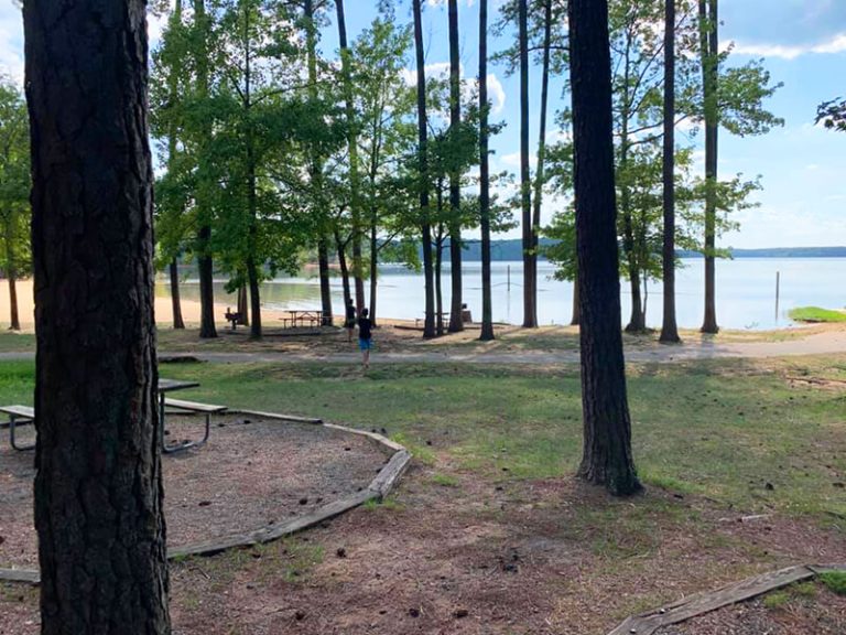 26 Fun Things To Do In Durham (NC) - Attractions & Activities