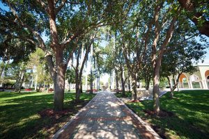 26 Fun Things To Do In Boca Raton (FL) - Attractions & Activities