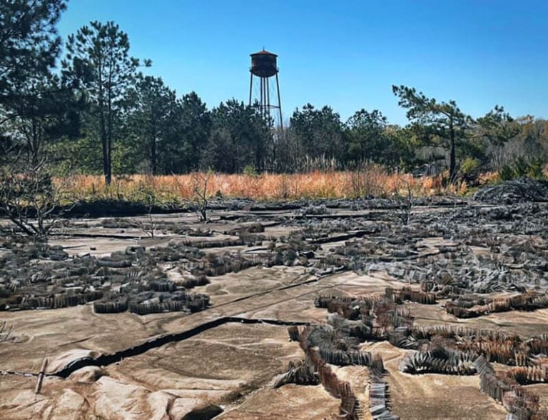 30 Fun Things To Do In Jackson (MS) - Attractions & Activities