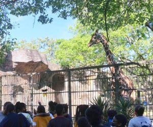 30 Fun Things To Do In Jackson (MS) - Attractions & Activities