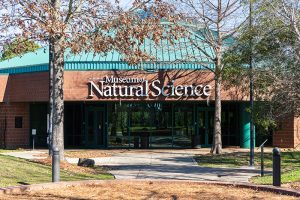 30 Fun Things To Do In Jackson (MS) - Attractions & Activities