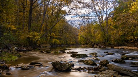 31 Best & Fun Things To Do In Delaware - Attractions & Activities