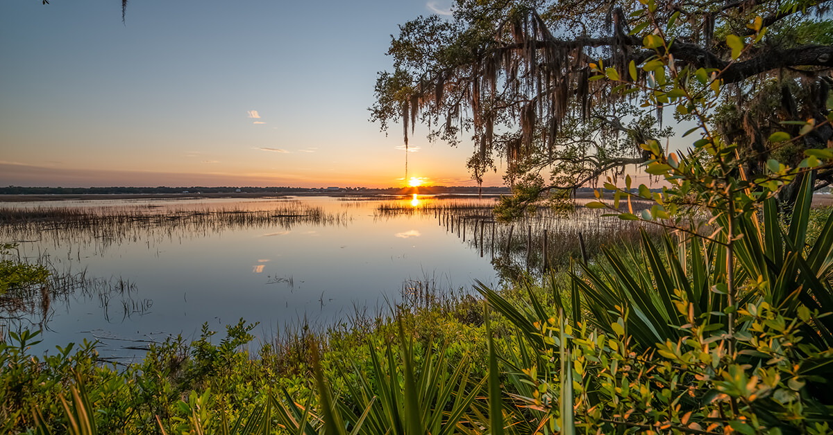 30 Fun Things To Do In Beaufort (SC) - Attractions & Activities